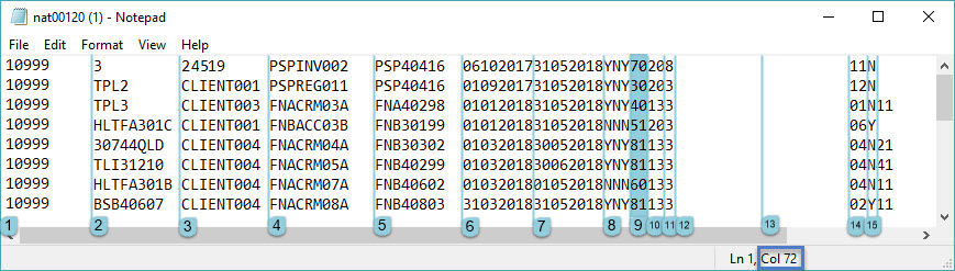 What are NAT Files & How Do I Read Them?